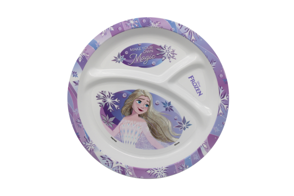 Frozen - Divided Micro Plate